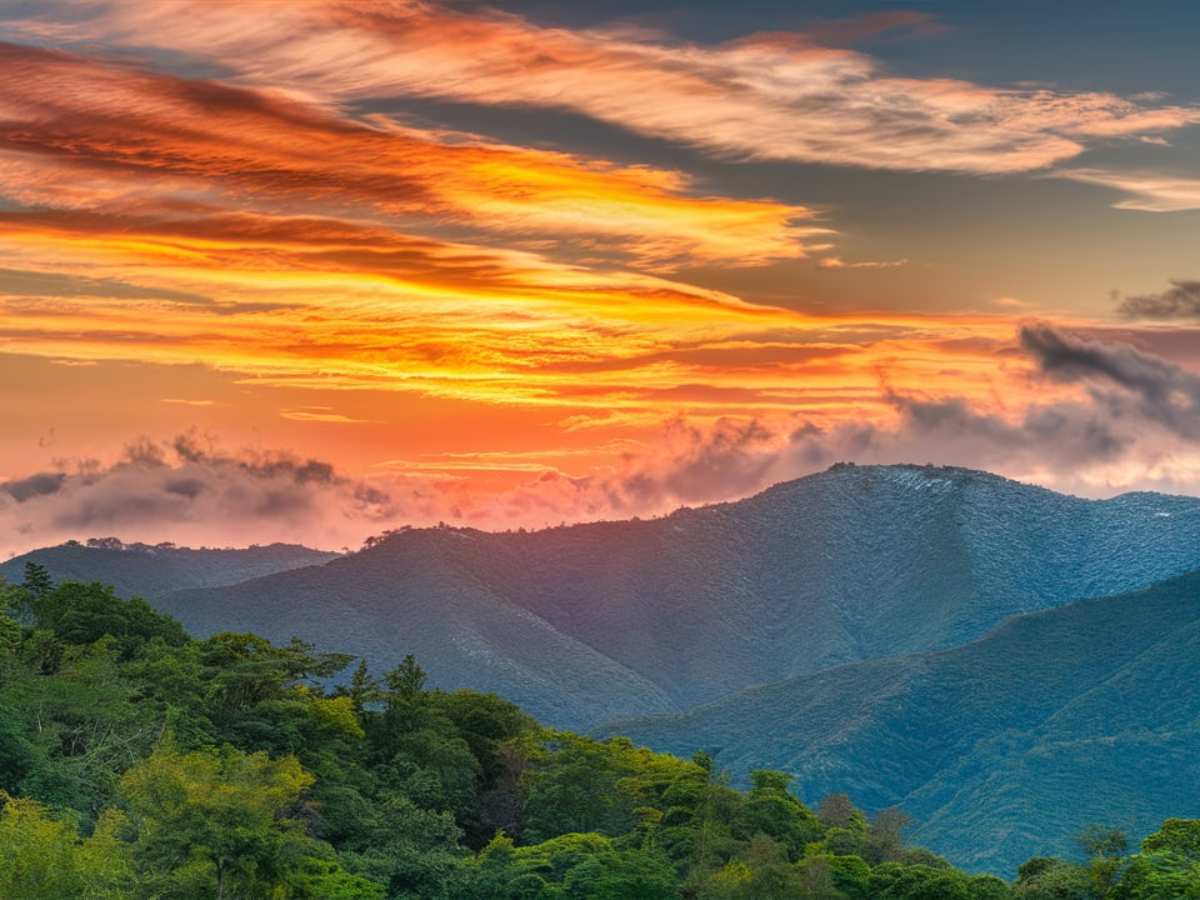 First Time In Dharamsala? Don’t Miss These 5 Essential Travel Tips First Time In Dharamsala? Don’t Miss These 5 Essential Travel Tips